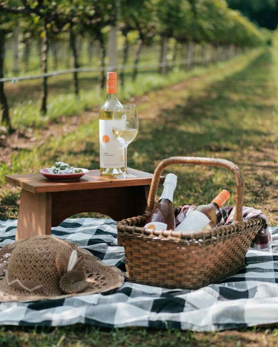 What Makes Bali Wine Different? - The Bali Life. Bali Updates